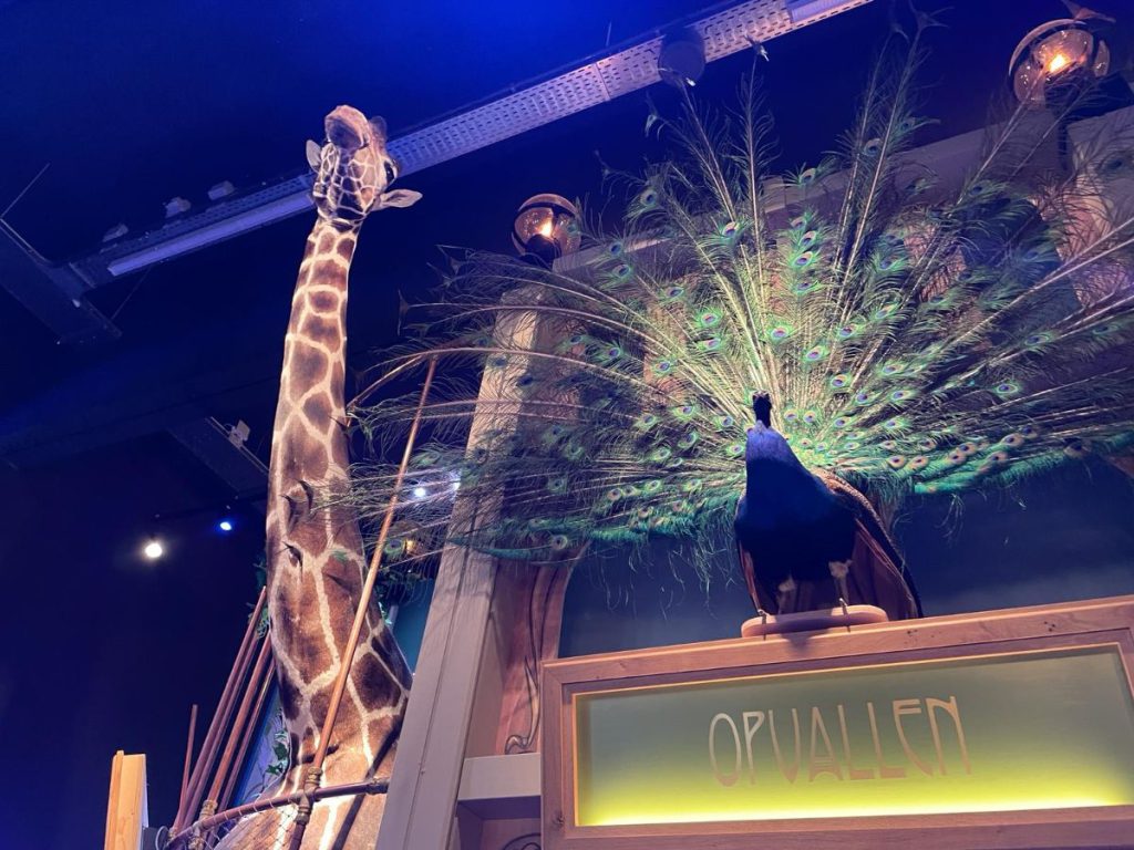 Naturalis - een tof museum in Nederland! - Uitstapjes In Nederland